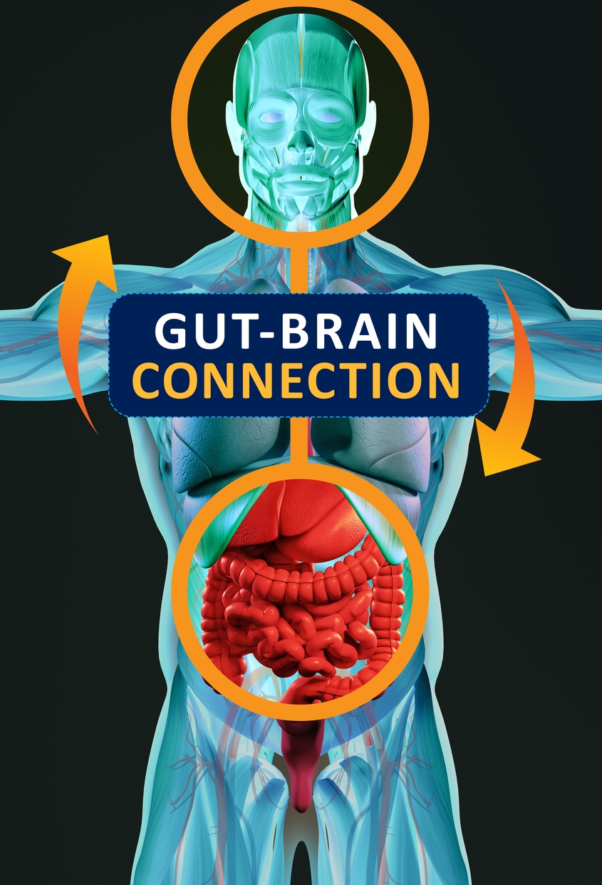 Gut-Brain Connection: How the Gut Affects the Brain - Stephanie Troy